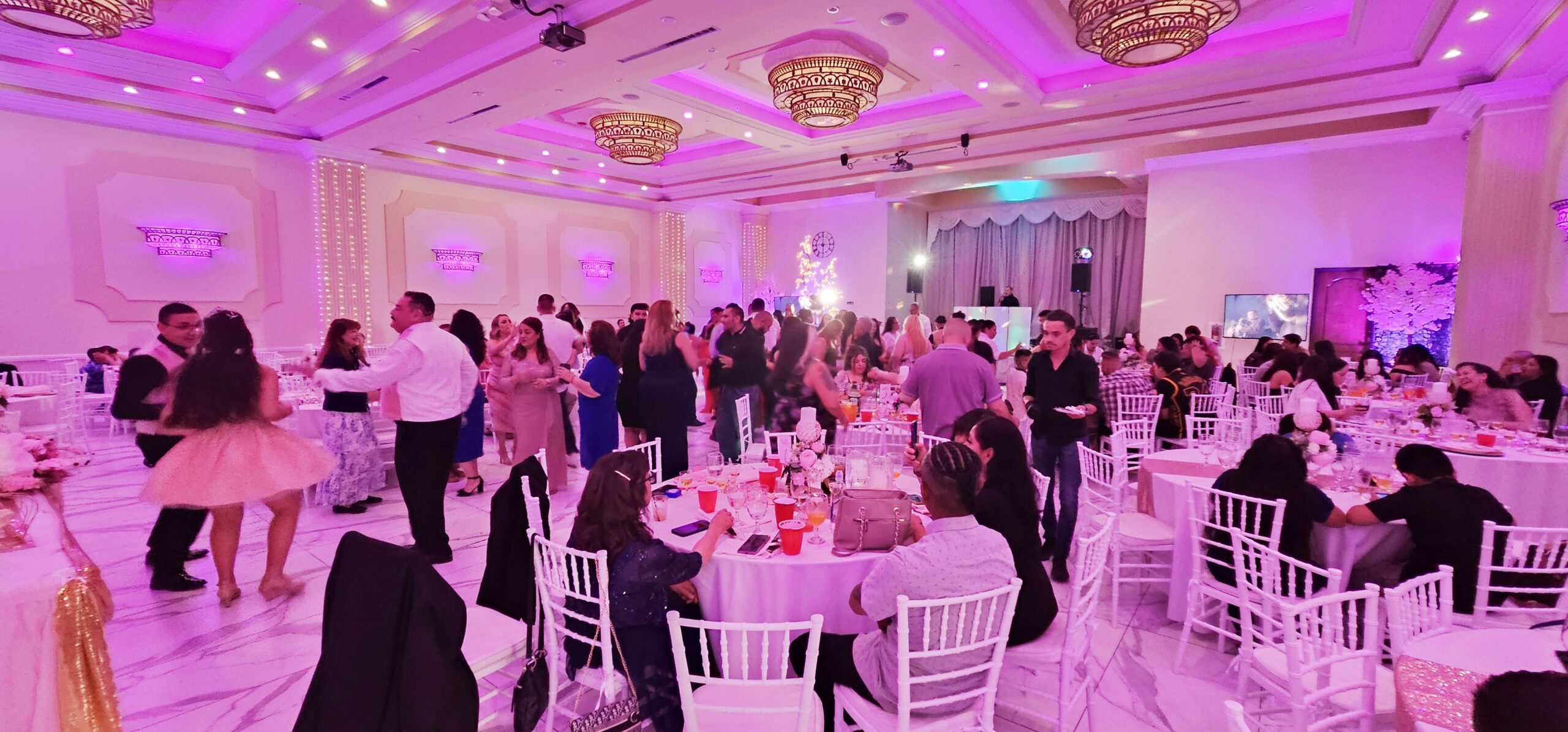 HELLO BANQUET 250 GUEST – hellobanquet.com