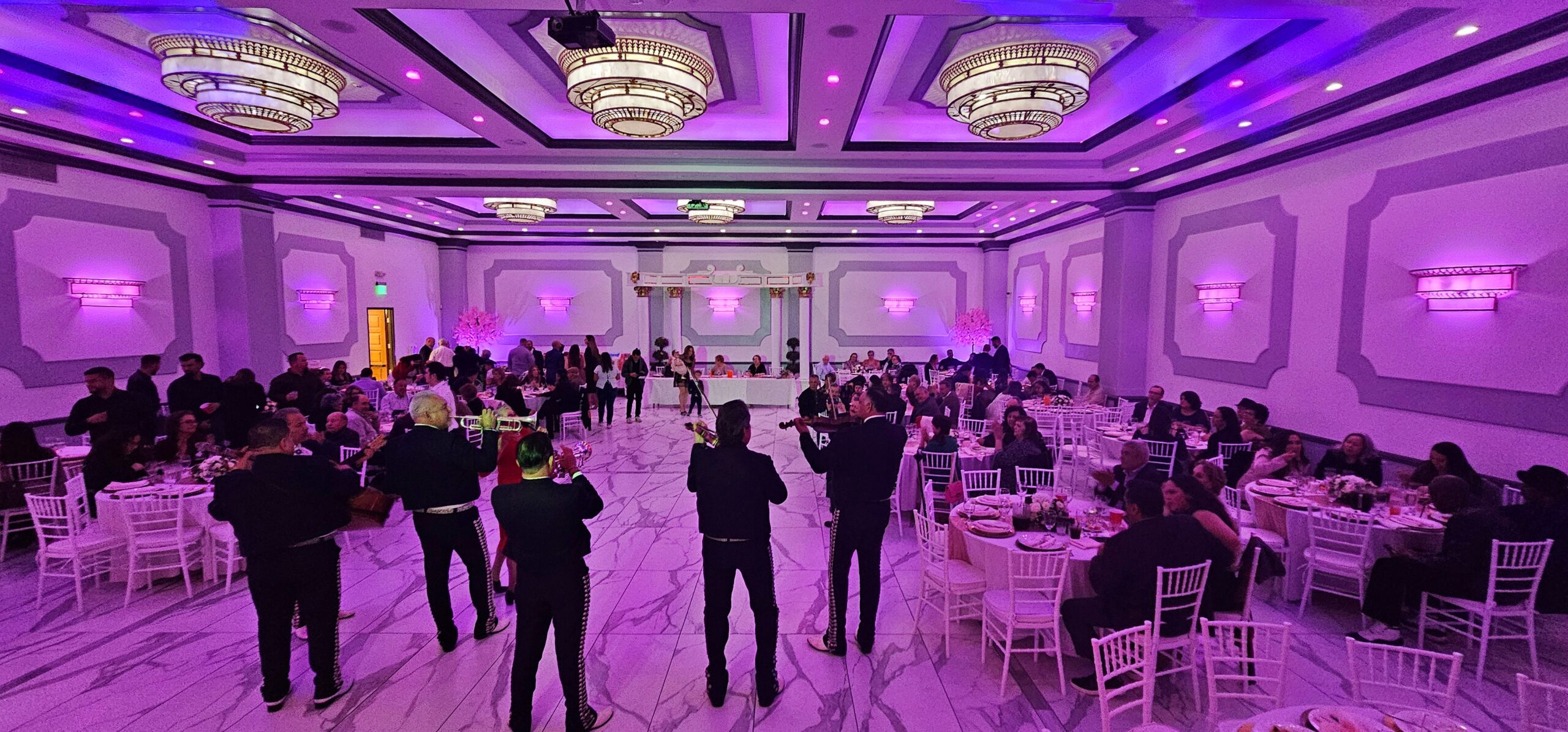 HELLO BANQUET 250 GUEST – hellobanquet.com